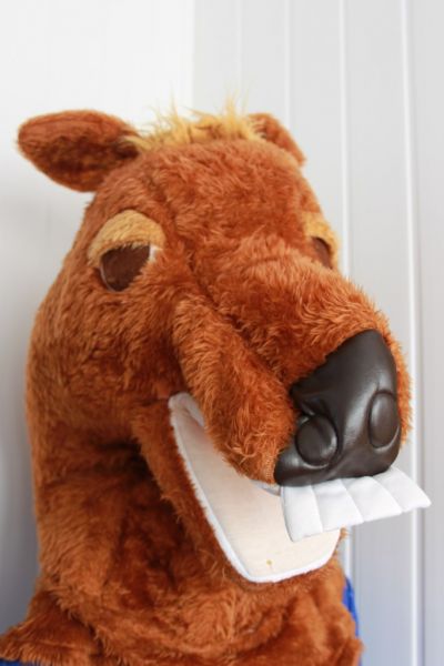 Pantomime Hire - Admiral Costumes